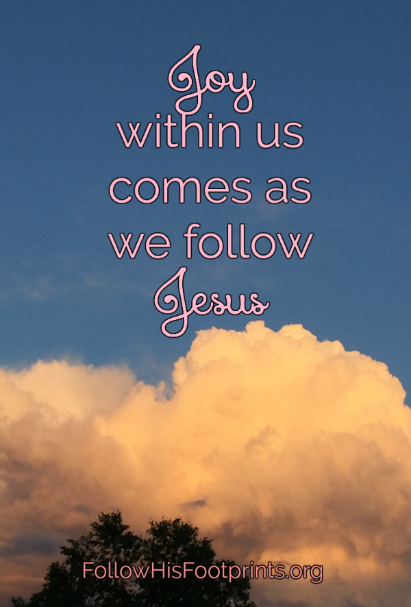 Finding Joy Within - Jill M. Hoven